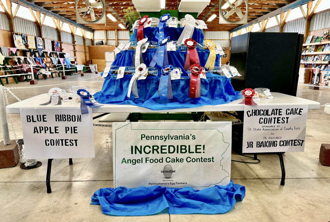 Local bakers take top honors at Clinton County Fair | News, Sports ...